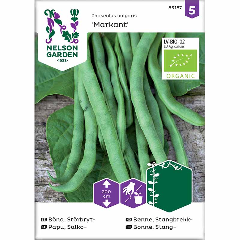 Pole Snap Bean 'Markant' - Seeds - Theseedstore.eu